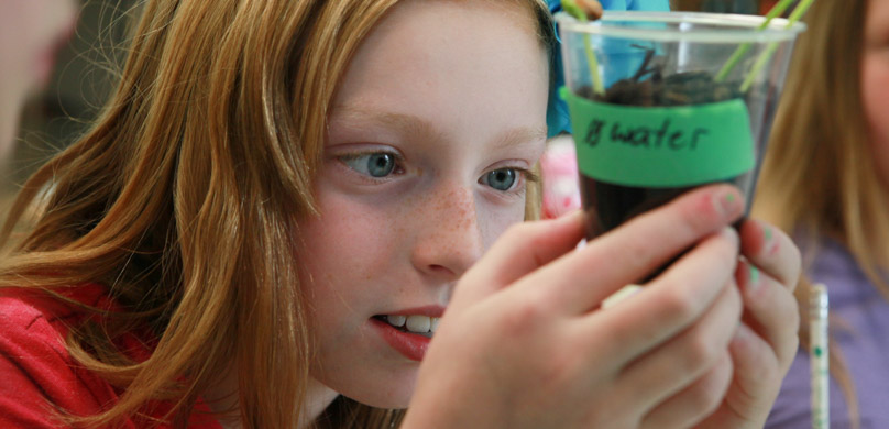 Teaching & Learning - A. E. Cross School