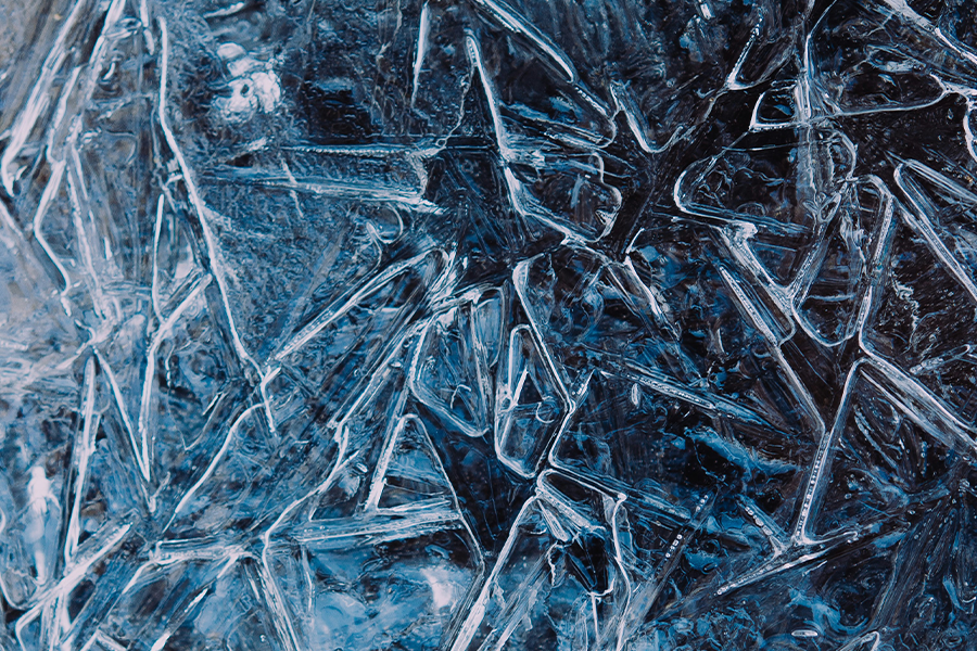 Feb. 10-14 Update | Career Fair, Yearbook, Athletics - A. E. Cross School